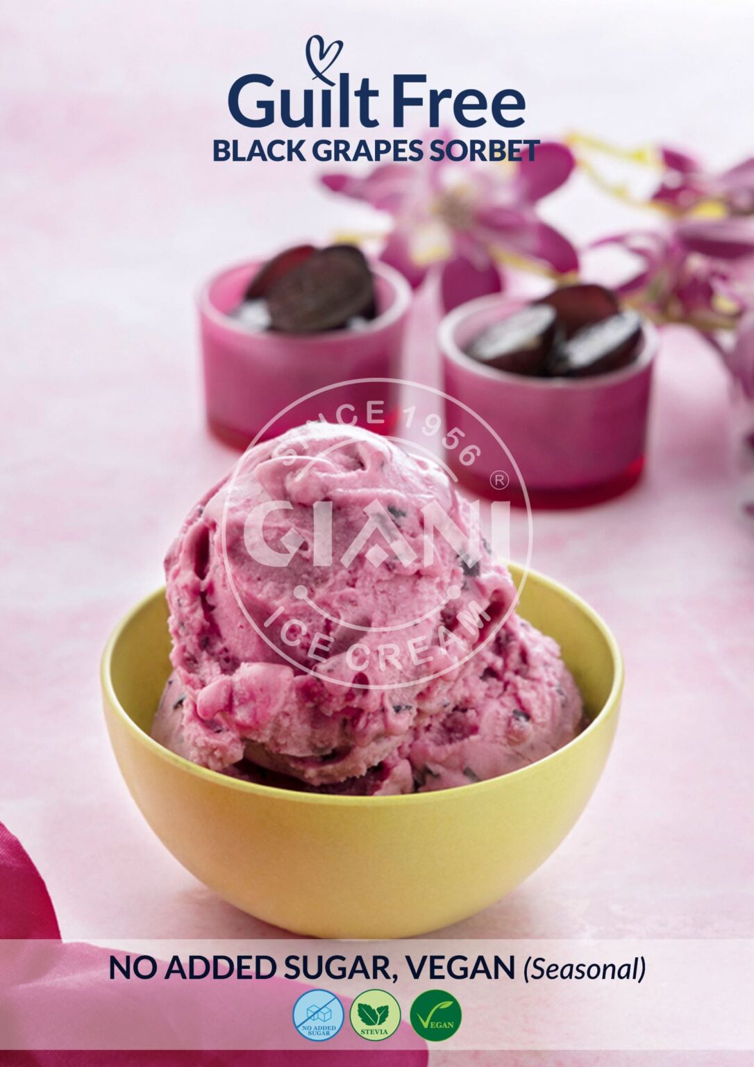 Gallery - GIANI Ice Cream